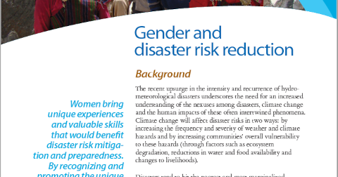 Gender and Disaster Risk Reduction Policy Brief - Plateforme AGGRC