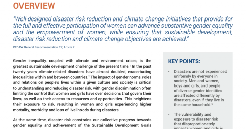 UNDRR Policy Brief : Gender-Responsive Disaster Risk Reduction ...